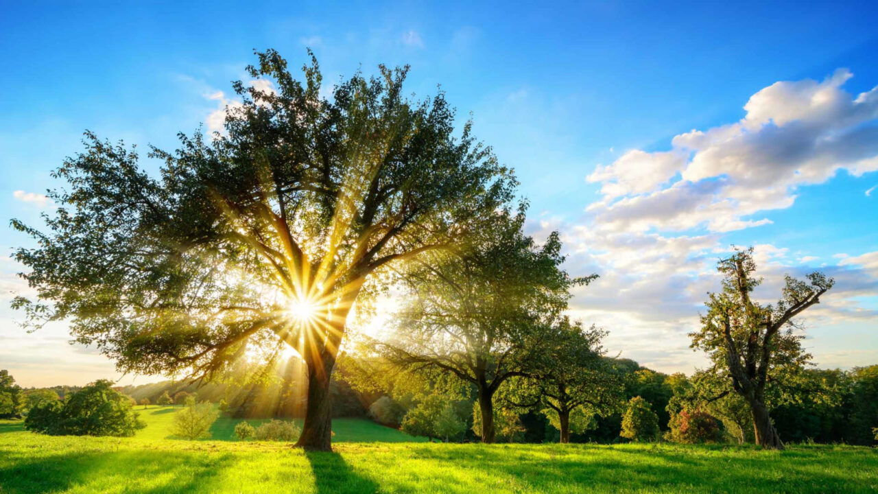 Sunset Program | Big Bend Hospice