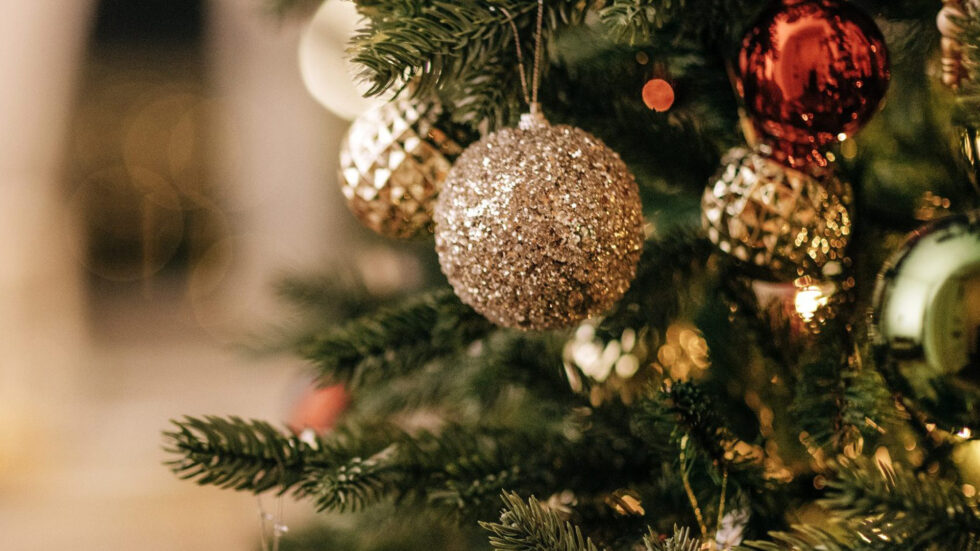 Christmas Season Reflection | Big Bend Hospice